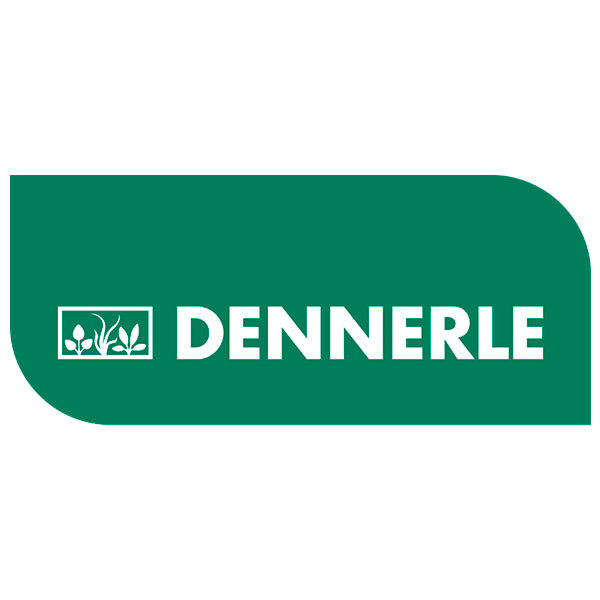 Pesti betta – Ghid de ingrijire – Animax