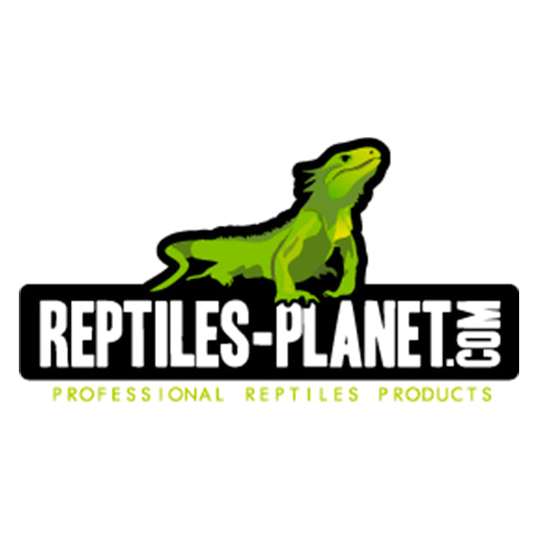 Pet shop - Magazin animale online | Hrana, Jucarii si Accesorii