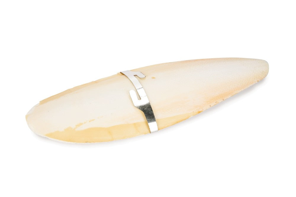 Os de sepie Large 20 cm | Animax.ro