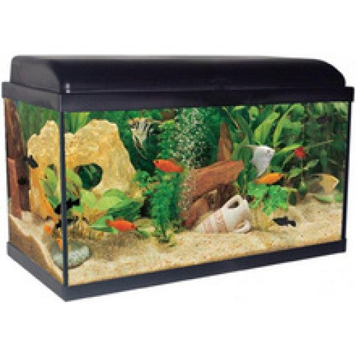 Acvariu Aquadream 60 Negru 54 l – Animax