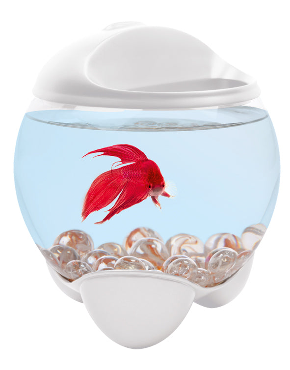 Acvariu bol Tetra Betta Bubble Alb 1.8L | Animax.ro